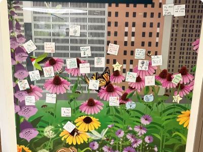 Features - Belle Isle Nature Center