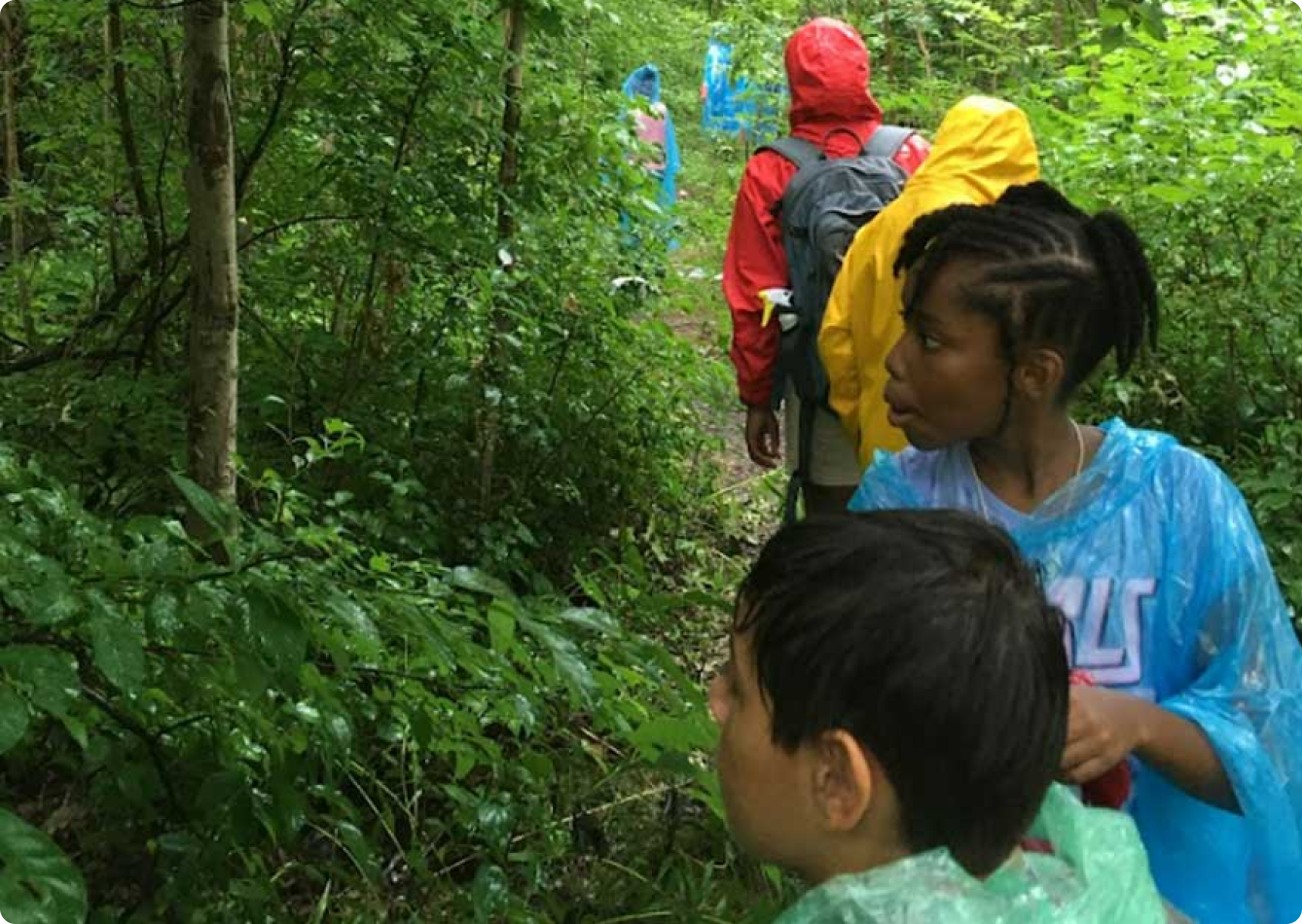 Field Trips - Belle Isle Nature Center