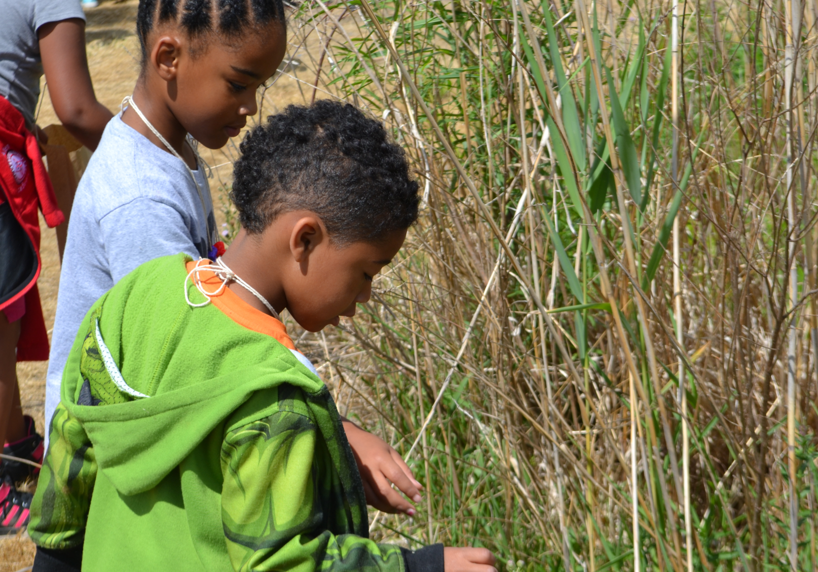 Field Trips - Belle Isle Nature Center